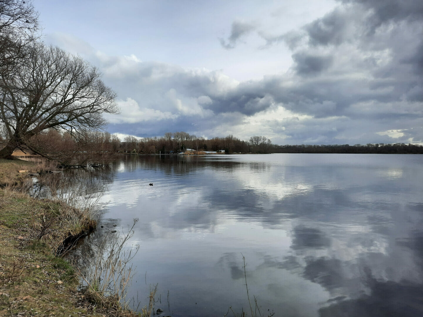 Wandeling de Nieuwe Meer 8 september - Odensehuis Amsterdam